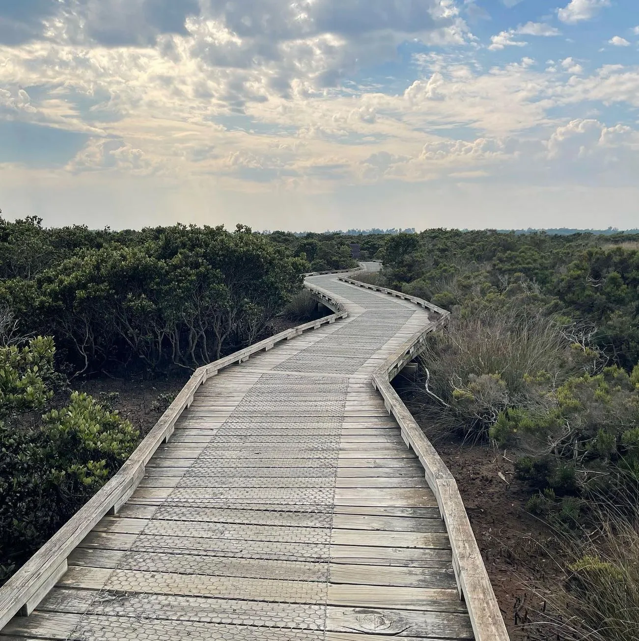Explore Phillip Island's Top Nature Walks for Families